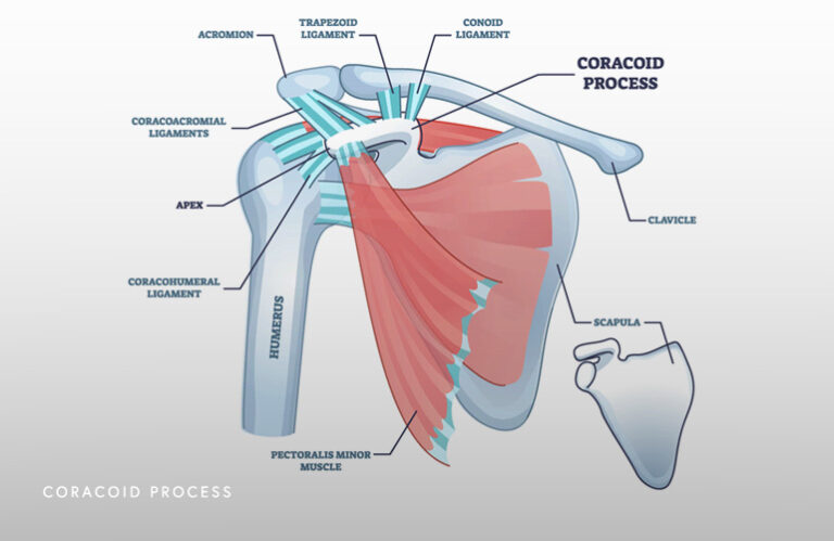Torn Labrum After Dislocation Schaumburg - Thomas Obermeyer, MD